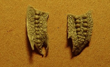 Spellcrow Come Swathed In Salamander Tabards – OnTableTop – Home of Beasts of War